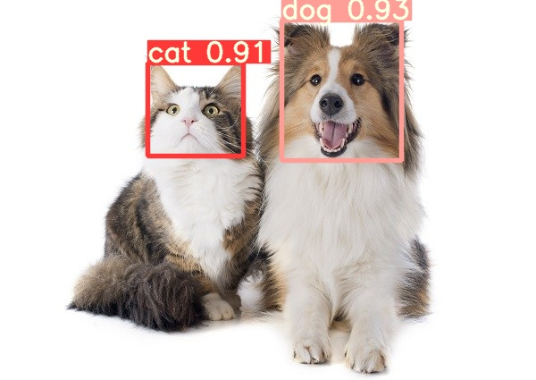 dog_cat detection: 基于yolov5的猫狗检测器，数据集来源于kaggle，具体.pt文件与数据集可私我（wechat ...